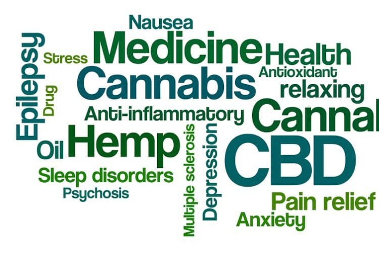 Functional Endocrinology: The Endocrine System and CBD - EP Wellness ...