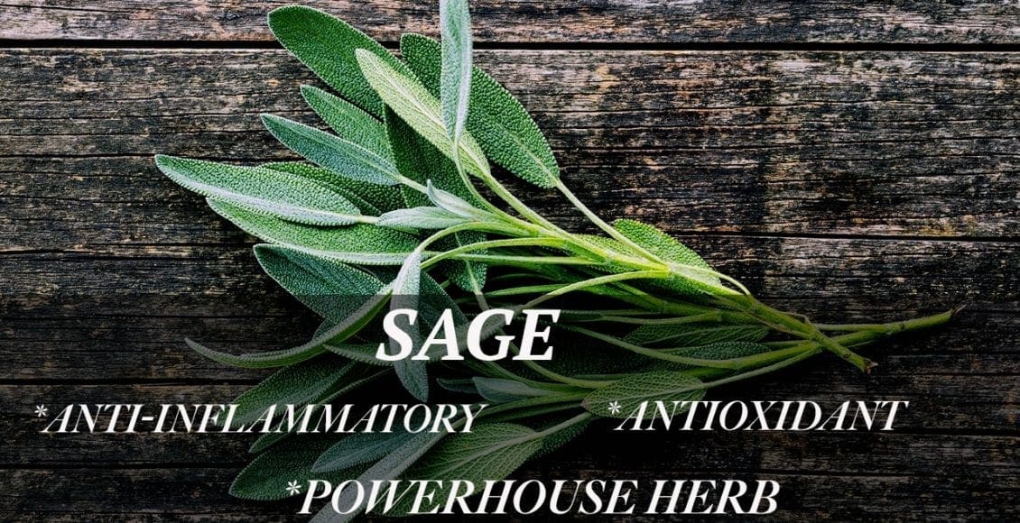The Wonderful Benefits of Sage - EP Wellness & Functional Medicine Clinic