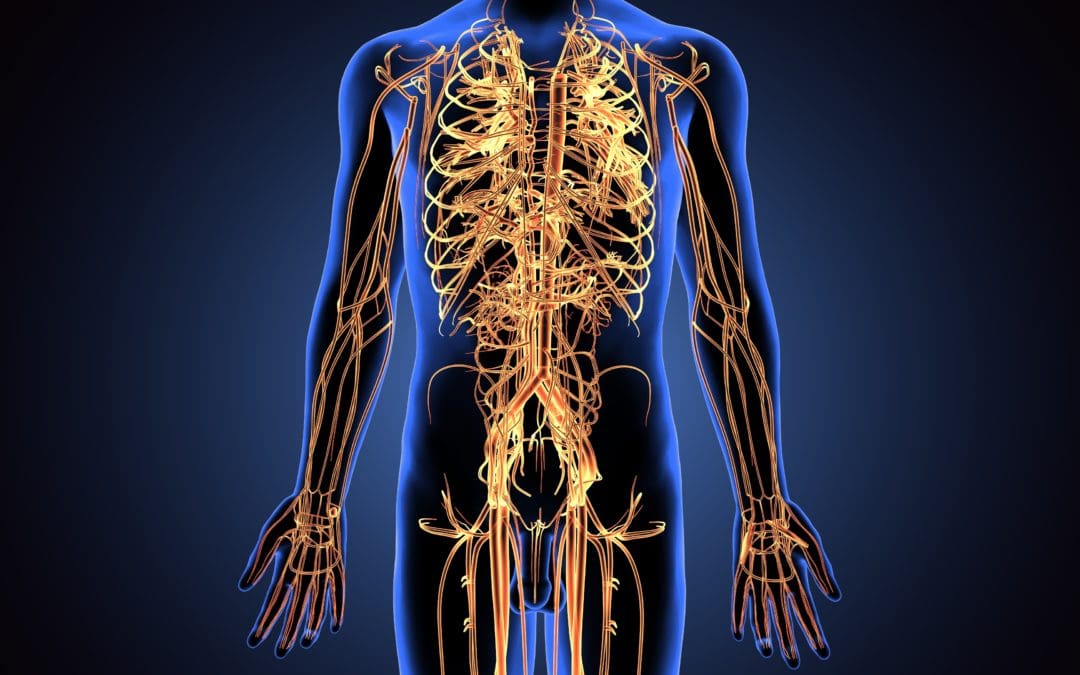 Effective Treatment for Nerve Injuries: Causes and Solutions - EP ...