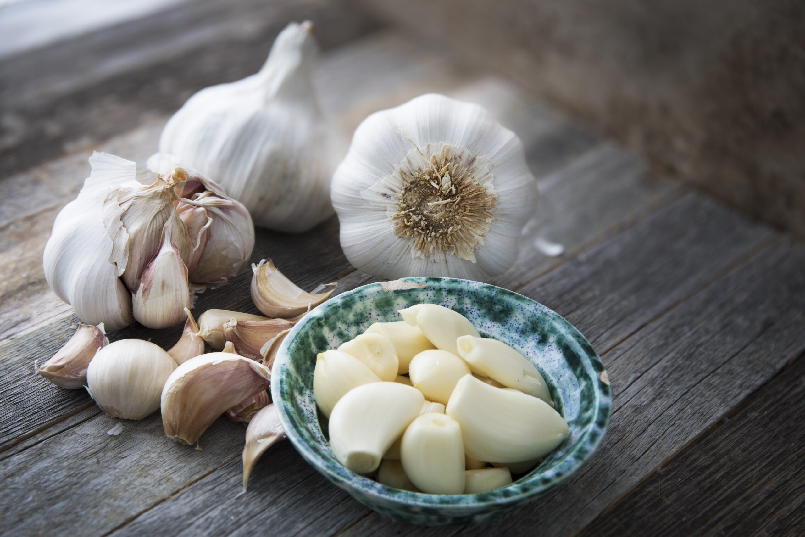 Los músculos espinales: una guía extensa - Wellness Doctor Rx